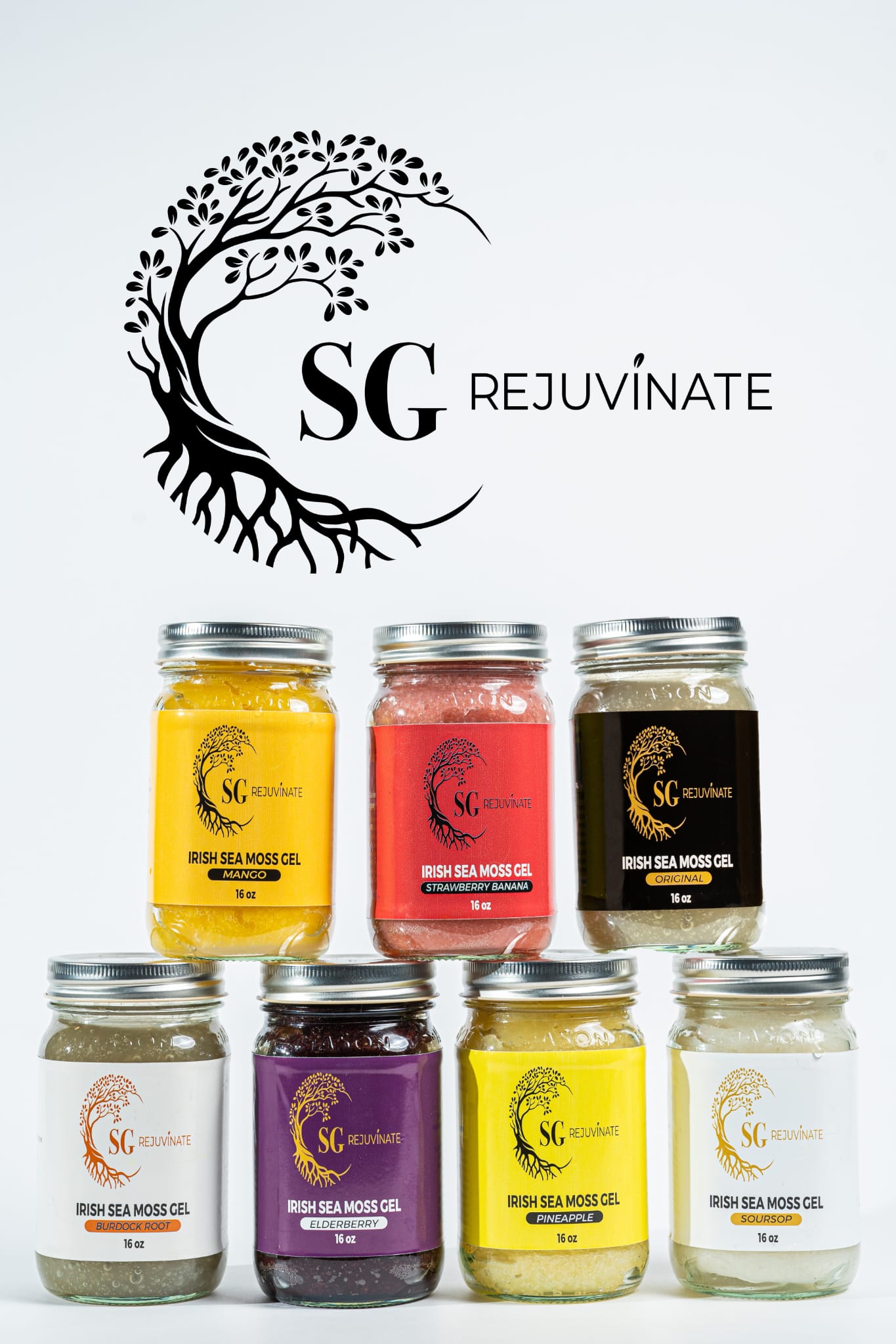 Irish Sea Moss Gel – SG Rejuvinate